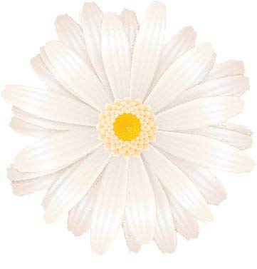 Beautiful Vibrant Spring Gerber Daisy Flower Icon Steel Bottle Stopper Winestopper