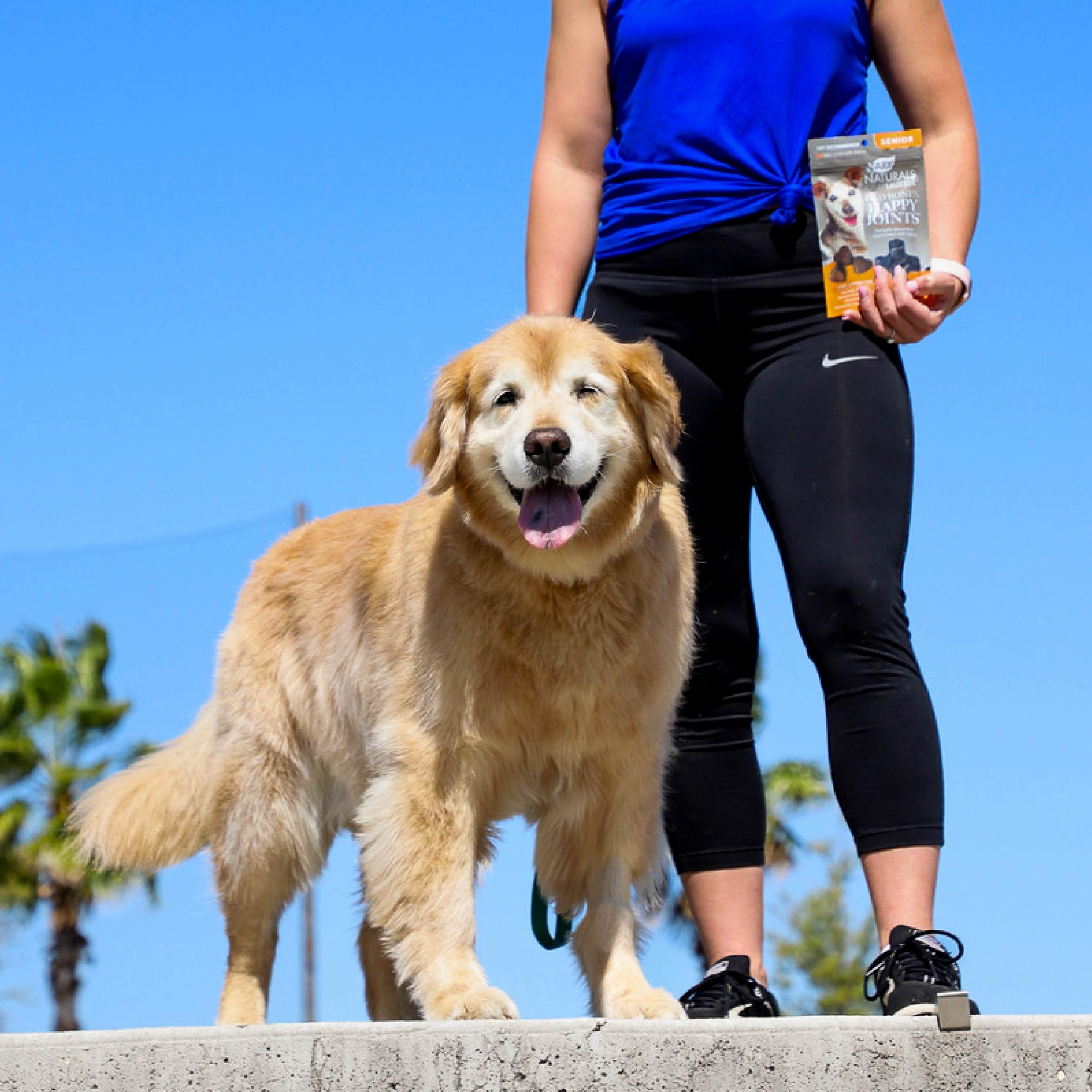 ARK NATURALS Gray Muzzle Old Dogs! Happy Joints! Vet Recommended to Support Cartilage and Joint Function, Glucosamine, 90 Soft Chews,Orange
