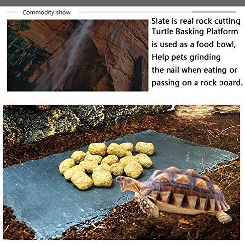 Tfwadmx Reptile Basking Platform, Tortoise Feeding Dish, Natural Rock Reptile Food Bowl Landscape Habitat Decor for Turtle Lizard Bearded Dragon Crested Gecko Snake
