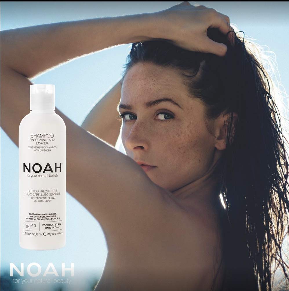 Noah Hair – 1.3 Shampoo with Lavender and 2.1 Nourishing Conditioner with Mango Set – Hair Care for Natural Beauty - 8.5 fl.oz (250 ml) Each
