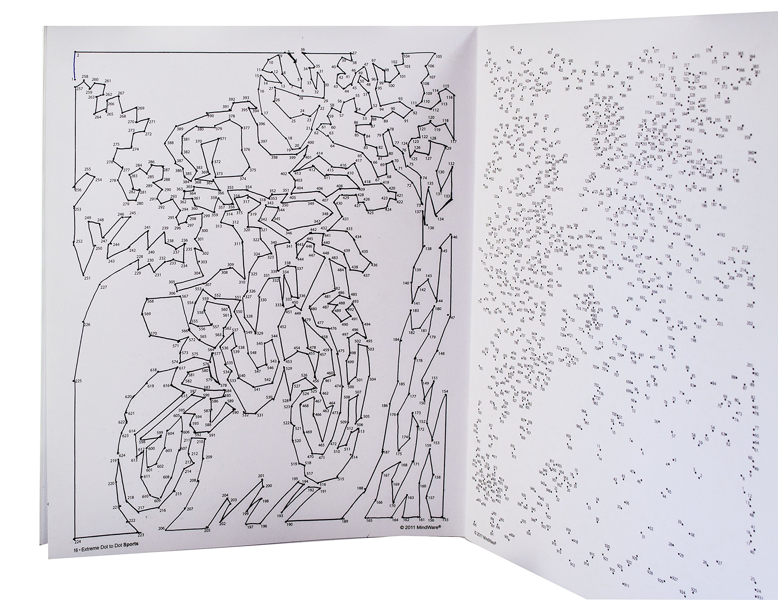 Extreme Dot to Dot Sports Puzzle