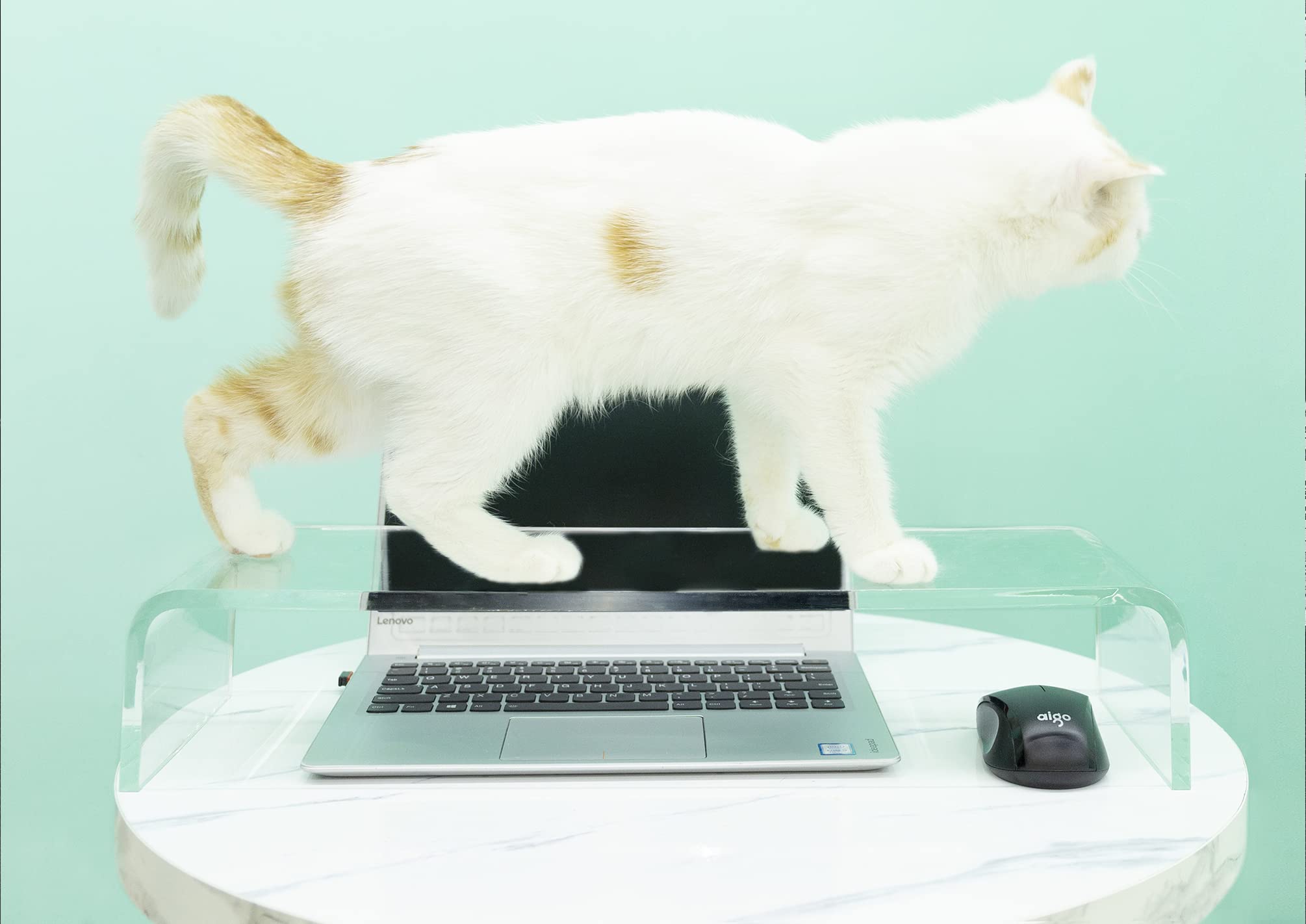 Anti-Cat Acrylic Keyboard Protector Cover,Computer Monitor Stand and Laptop Stand