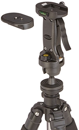 Amazon Basics Pistol Grip Camera Travel Tripod With Bag - 34.4 - 72.6 Inches, Silver and Black