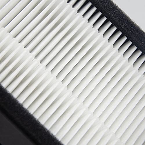 Filterhualv 2 Pack FLT4825 True HEPA Filter B Replacement Filter Compatible with Guardian Air Purifier AC4825, AC4300, AC4900, AC4850, AC4825DLX, CDAP4500, AP2200,FLT4825