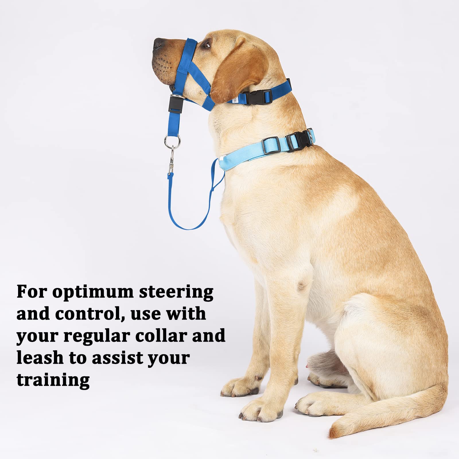 BARKLESS No-Pull Head Collar for Dogs Training & Walking Made Easy, Soft Dog Halter Harness with Expert Training Guide - Put an End to Pulling on The Leash (M, Blue)