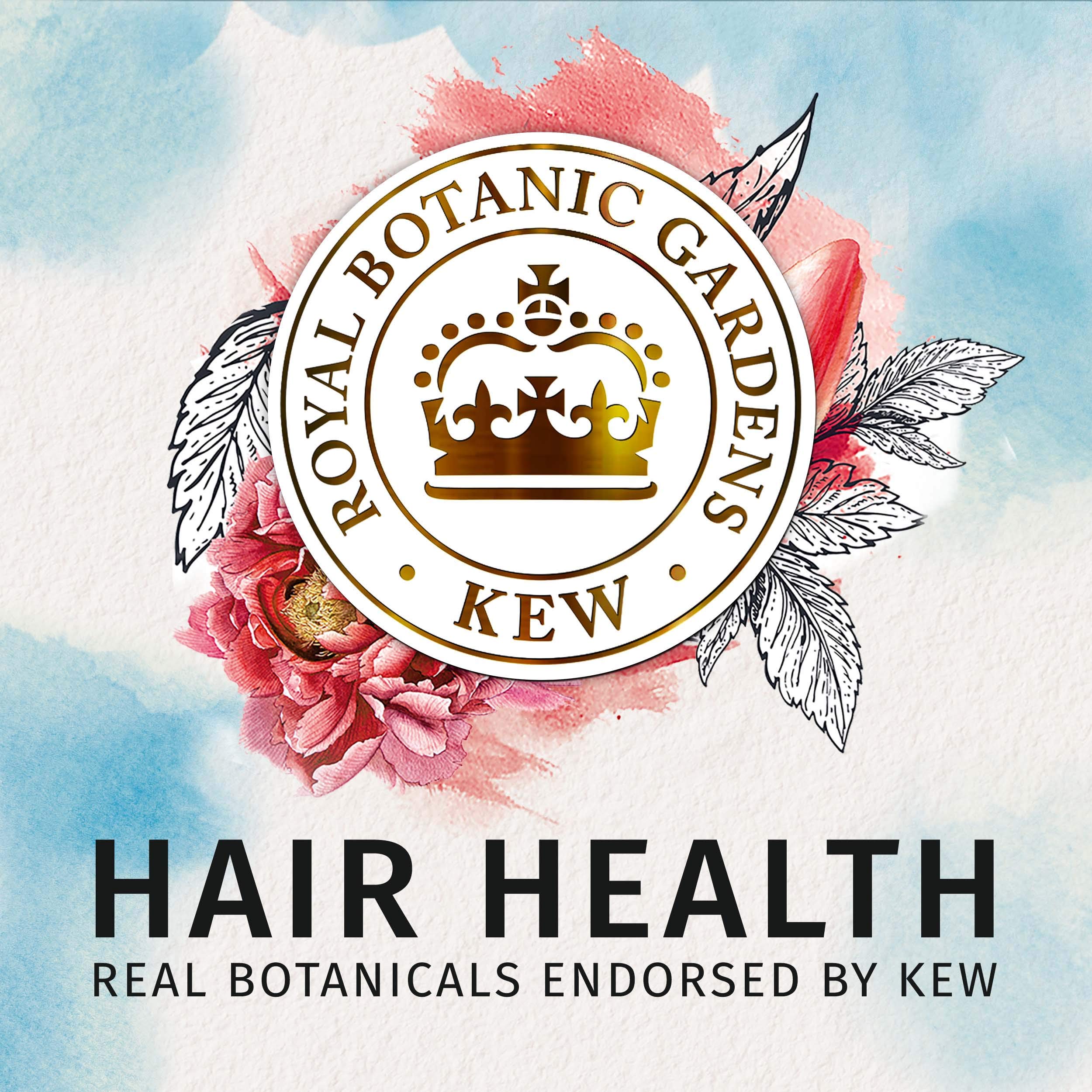 Herbal Essences Bio:Renew Birch Bark Extract Sulfate-Free Conditioner, 13.5 Fluid Ounce