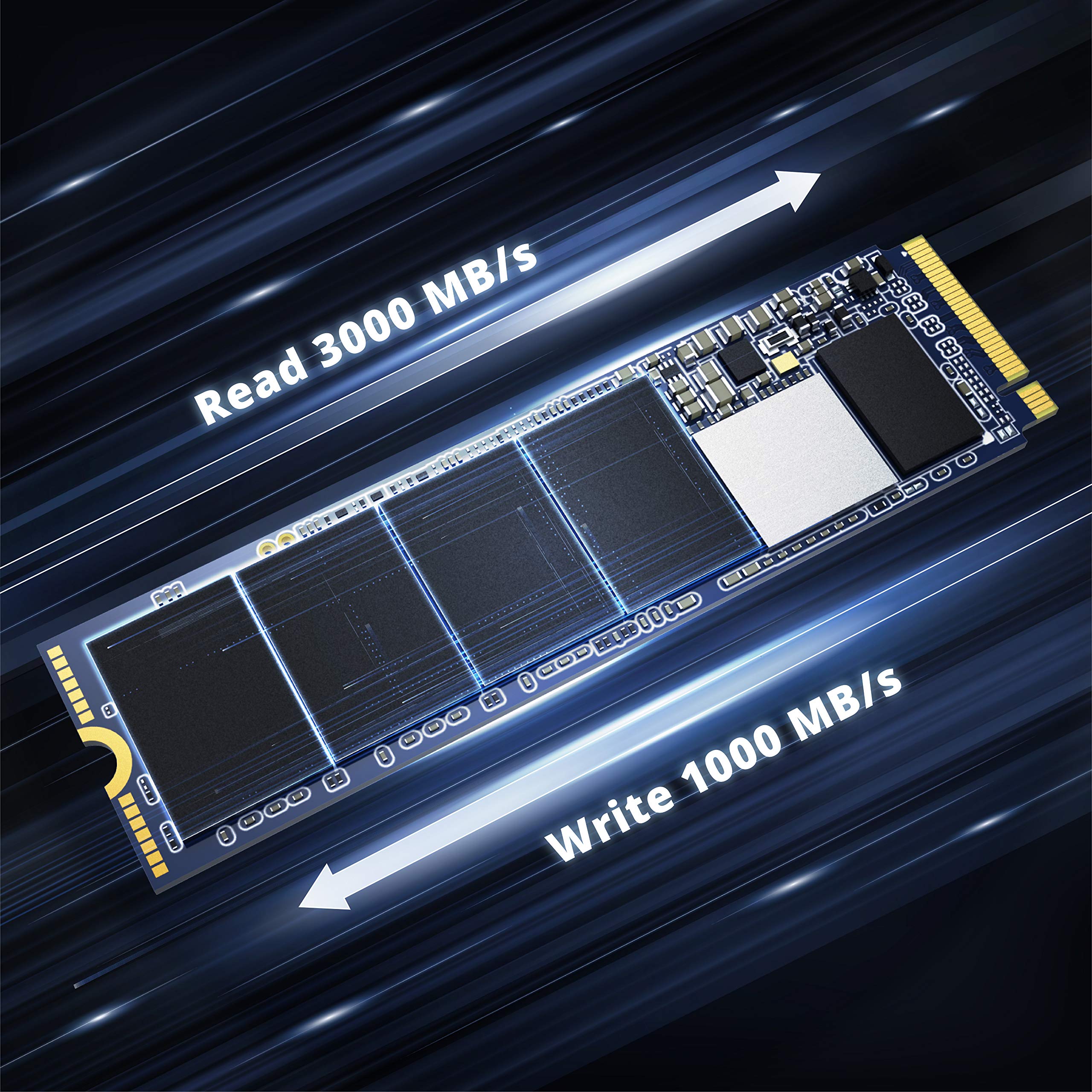 Pioneer 256GB NVMe SSD PCIe M.2 2280 Gen 3x4 TLC Internal High Speed Read/Write up to 3100/1000MB/s Solid State Drive, 300 TBW, PC Laptop Compatible (APS-SE20G-256)