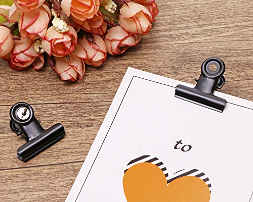 Tupalizy 15PCS Push Pins Clips Bulldog Thumbtack Clips for Bulletin Cock Board Wall Office School Home Cubicle Pictures Documents Notes Papers Calendars Photos Files Artworks Craft Projects (Black)