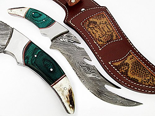 AishaTech Alligator Hunting Knife Damascus Steel Blade Stag & Wood Handle