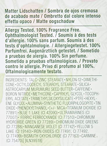 Clinique All About Shadow Single Ac French Roast
