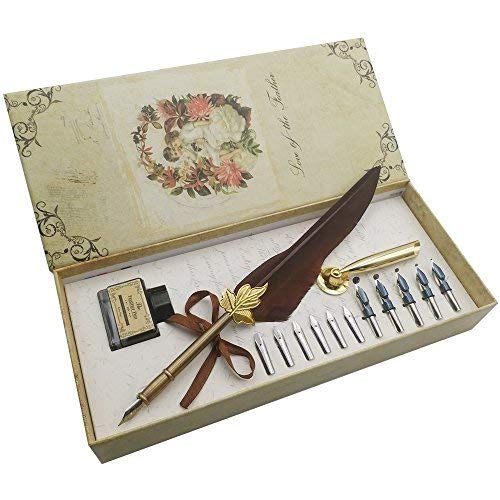 AIVN Feather Quill Pen, Calligraphy Set with 12 Nibs