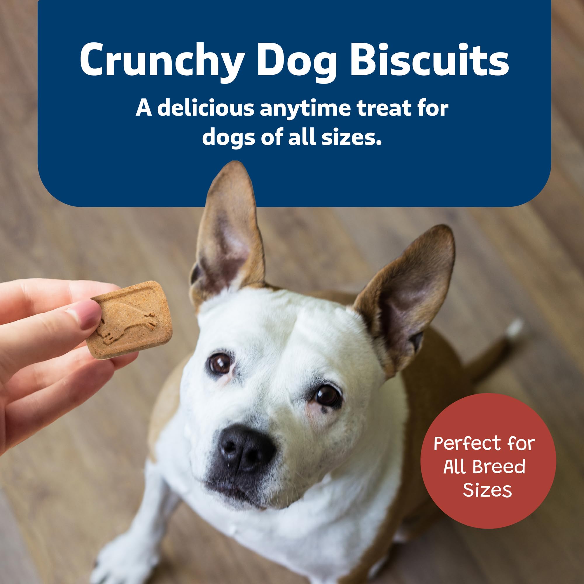 Blue Buffalo Health Bars Crunchy Dog Biscuits, Oven-Baked With Natural Ingredients, Bacon, Egg & Cheese, 3-lb Box