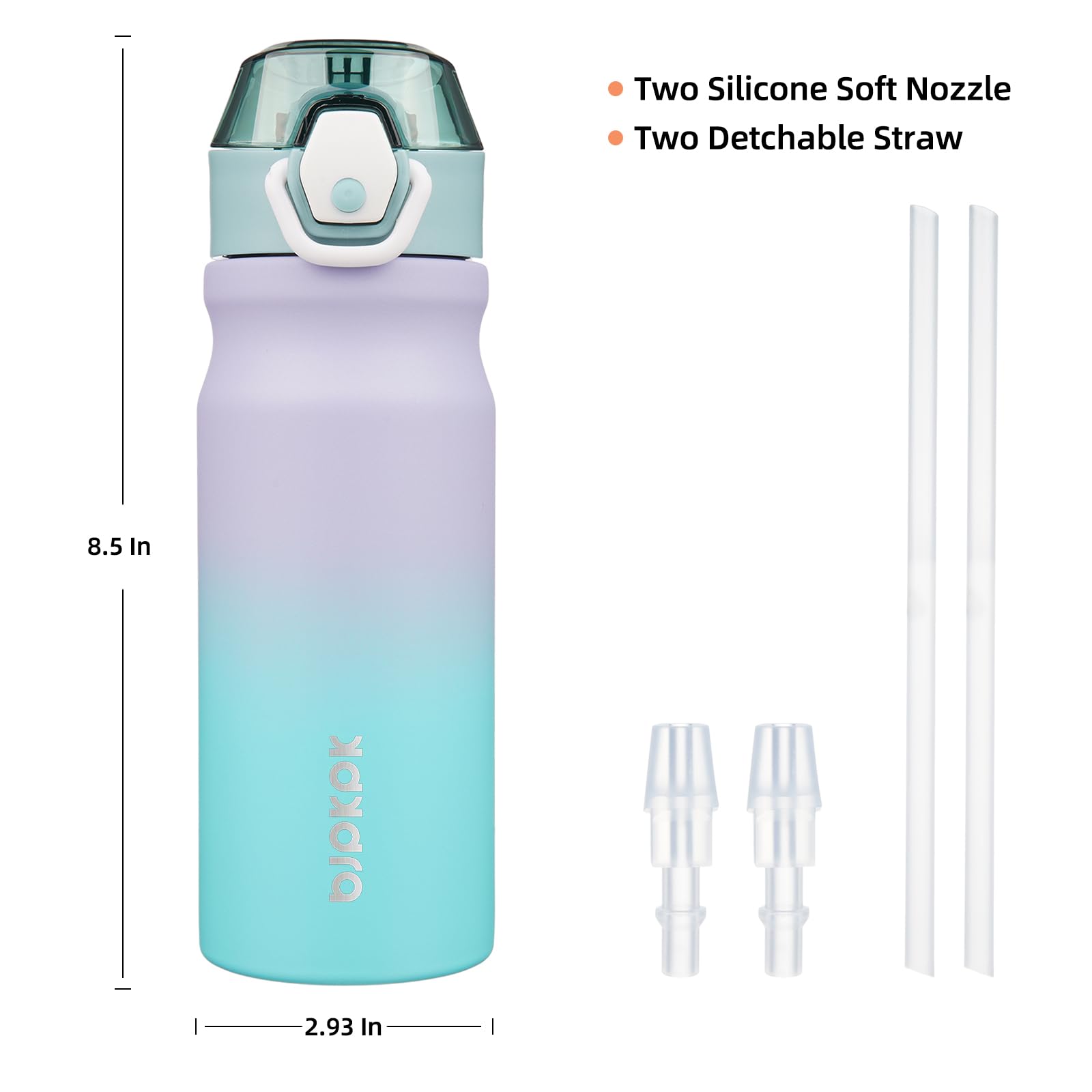 BJPKPK Water Bottle With Straw 18oz Insulated Water Bottles Reusable Stainless Steel Metal Thermos With Leak Proof Lockable Lid And Carry Handle,Oasis