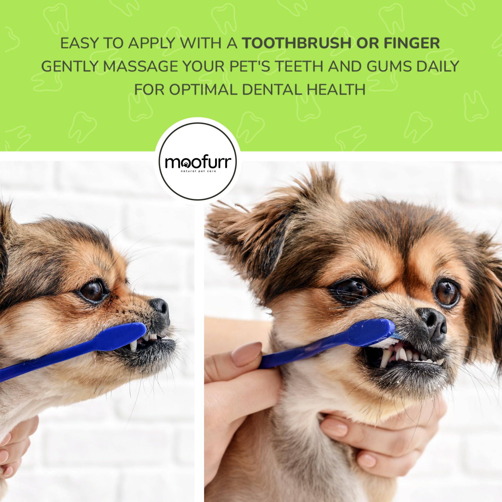 Moofurr Dog Toothpaste - Natural Flavourless Toothpaste I Against Tartar I Plaque Removal I Dental Care for Dogs