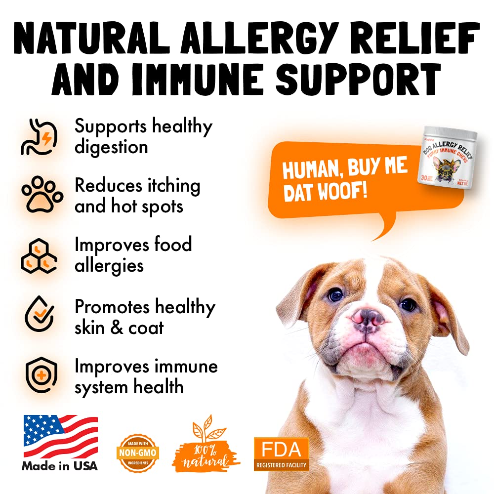 LEGITPET Dog Vitamins & Hip & Joint Supplement & Allergy Relief Chews & Calming Treats Bundle