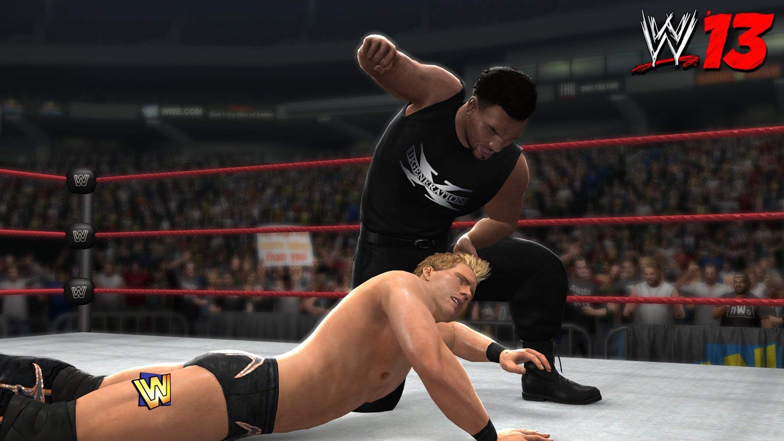 WWE '13 (Renewed)