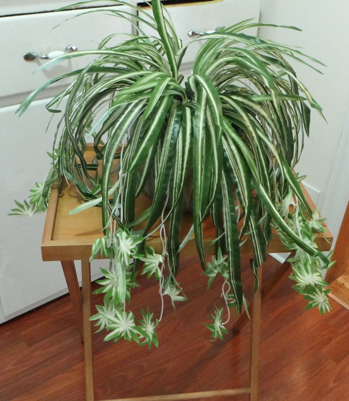 CHSGJY 2 Chlorophytum Grass Vine Artificial Flower Bush Spider Hanging Home Garden Decor