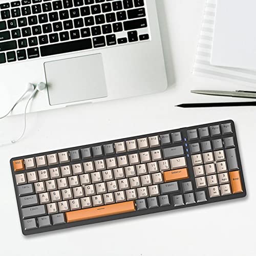 balikha Russian Mechanical Gaming Keyboard Backlight Mode USB Wired 100 Keys Portable for Laptop, Style B