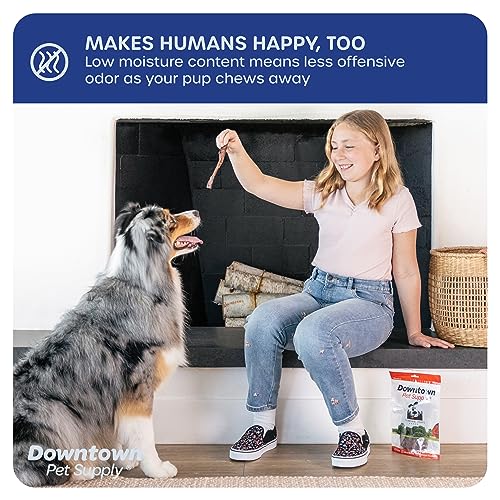 Downtown Pet Supply 6 inch 10 Pack of Bully Sticks for Medium Dogs & Large Dogs, Single Ingredient, Rawhide-Free Long Lasting Bully Sticks for Medium Dogs- No Hide Bullsticks for Bully Stick Holder