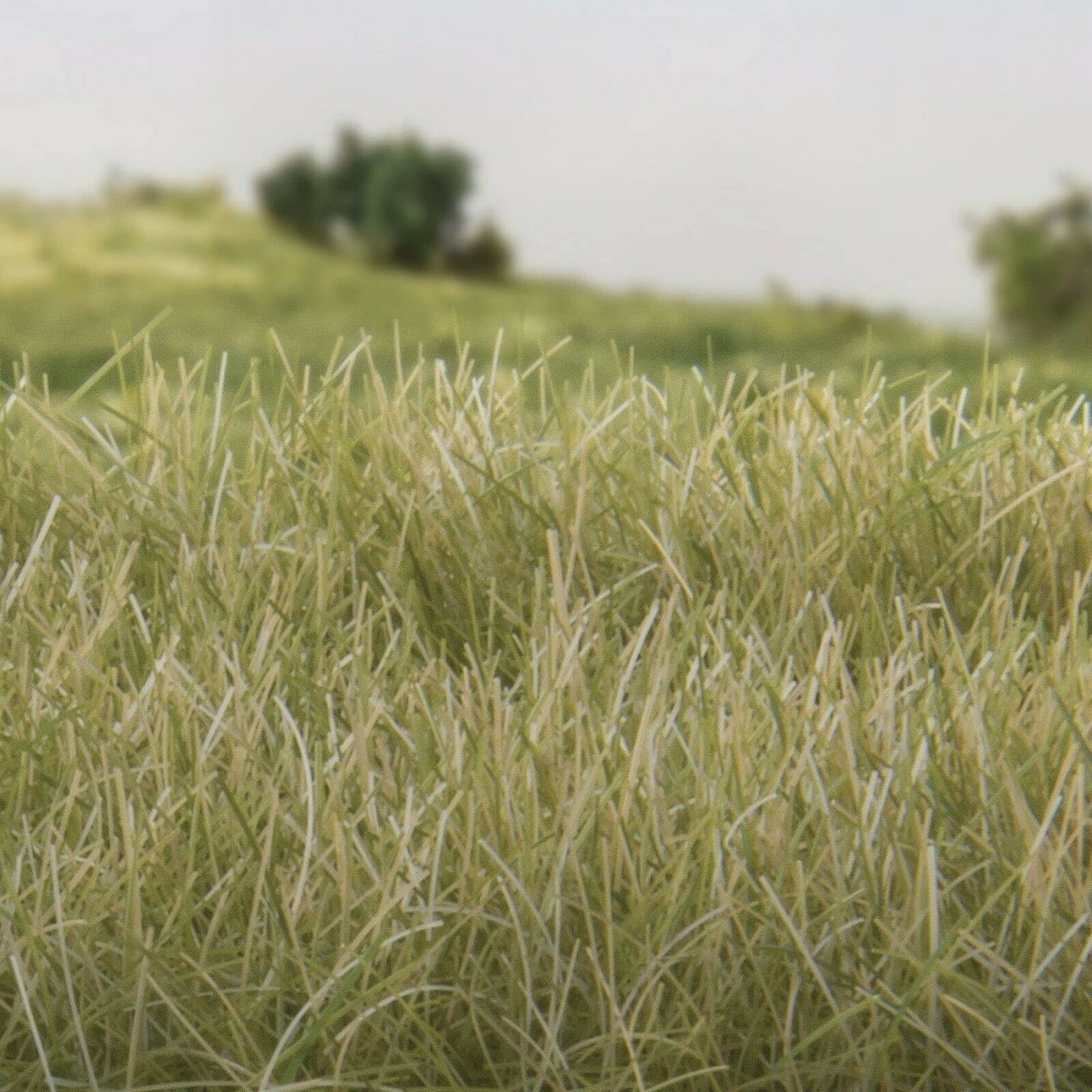 Woodland Scenics Static Grass Field System, Light Green 2mm, 4mm, 7mm, and 12mm (Pack of 4) - with Make Your Day Paintbrushes