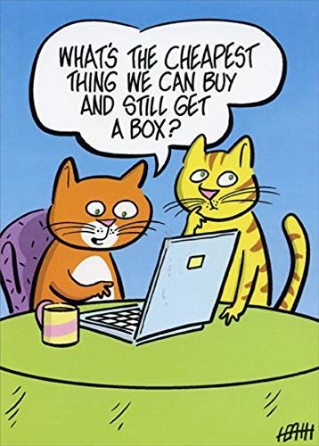 Cats Shopping Online - Oatmeal Studios Funny/Humorous Birthday Card
