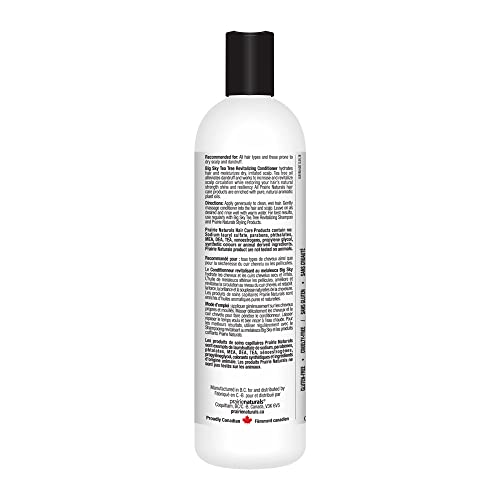Prairie Naturals Big Sky Tea Tree Conditioner, 16.89 Fluid Ounce