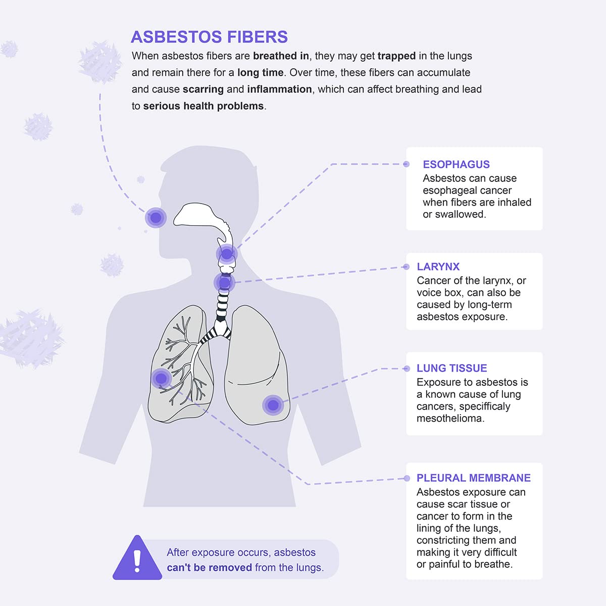 Asbestos Test Kit - Includes Asbestos Test Kit Lab Analysis, Pre-Paid Return Mailer, Fast Emailed Asbestos Test Results in 1 Week (5 Business Days) and Expert Asbestos Test Kit Consultation