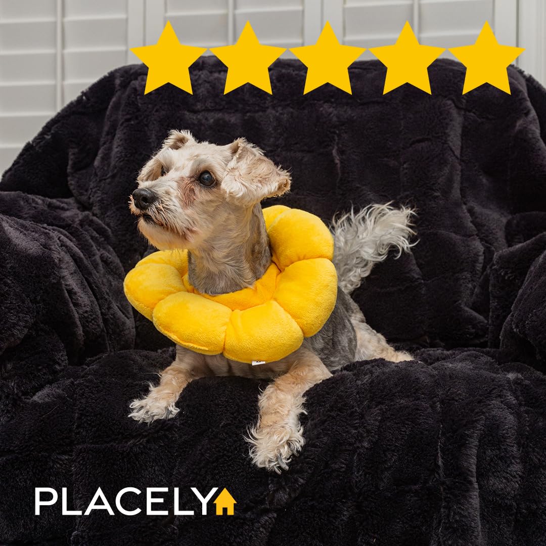 Dog Cones - Adjustable Dog Recovery Cone for Small Dogs - Dog-Friendly Design Dog Cone Collar - Reliable Head and Neck Cone for Dogs - Pet Cone - Dog Cone by Placely