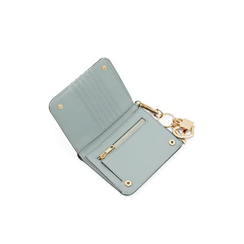 ALDO Women's Dwendassa Wallet, Light Green