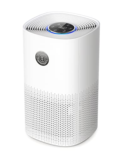 Air Purifiers for Home Bedroom, PARIS RHÔNE H13 True HEPA Air Filter Air Cleaner for Pet Smoke Pollen Dander Hair Smell, Portable Air Purifiers with Air Quality Sensor, Sleep Mode，Auto Mode, Timer,