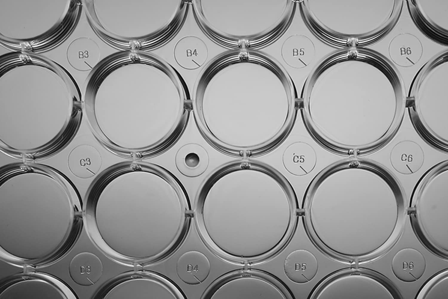 Nest Scientific 701002 96 Well Cell Culture Plate, Flat, TC, sterile 10/pk, 100/cs