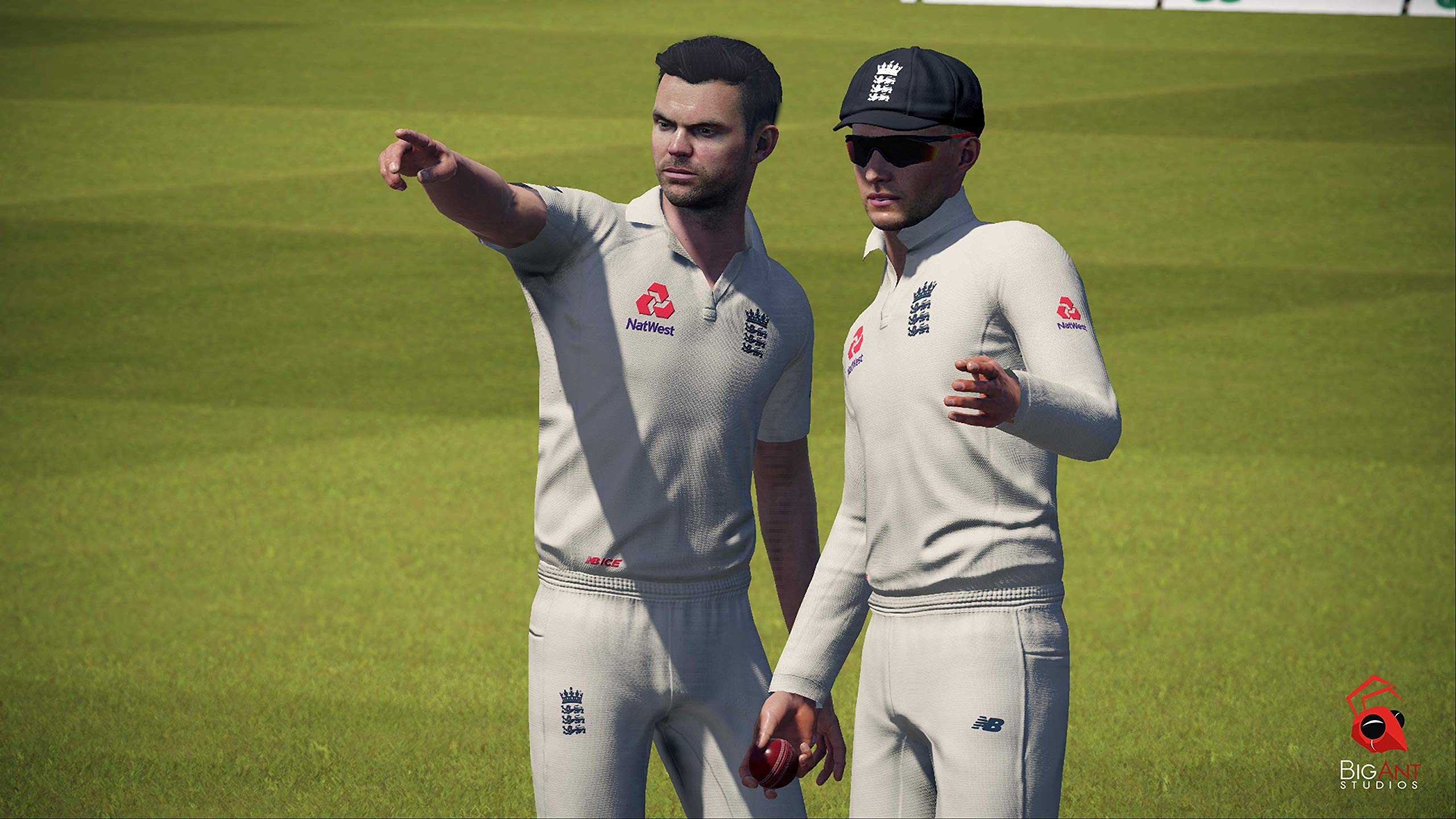 Cricket 19 - The Official Game of the Ashes - PlayStation 4 (PS4)