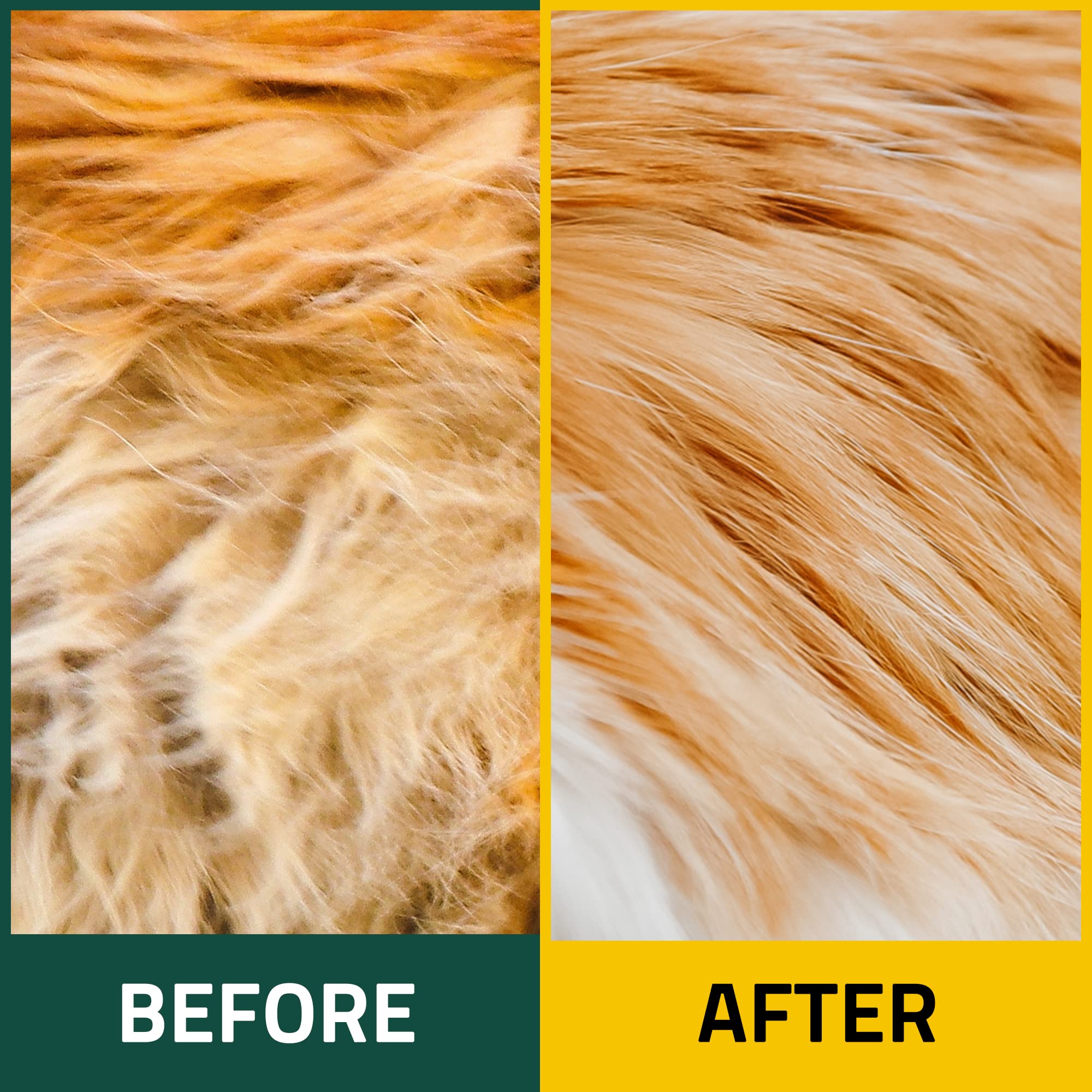 Breezytail PetO'Cera Mist Sensitive - Itch Relief Spray for Cats | Fragrance-Free & Unscented | Regain Healthy Skin with Ceramide | Dry, Irritated Skin Solution | 5.07oz…