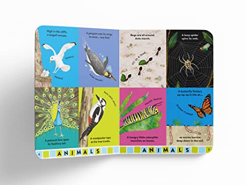 Britannica's Baby Encyclopedia: For curious kids ages 0 to 3 (Britannica Books)