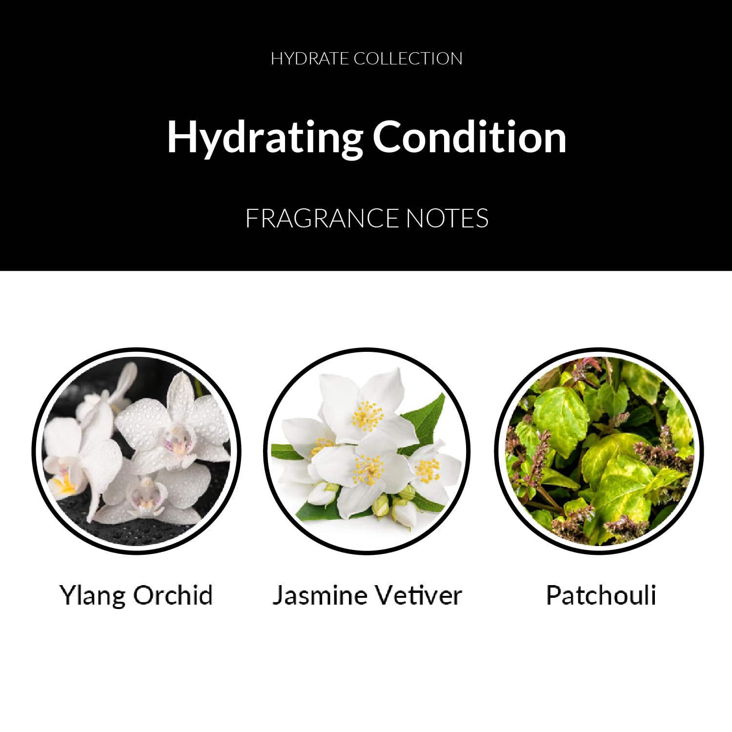 Number 4 Mini Hair Conditioner, Deep Conditioner, Travel Size Hydrating Condition, 1.5 oz
