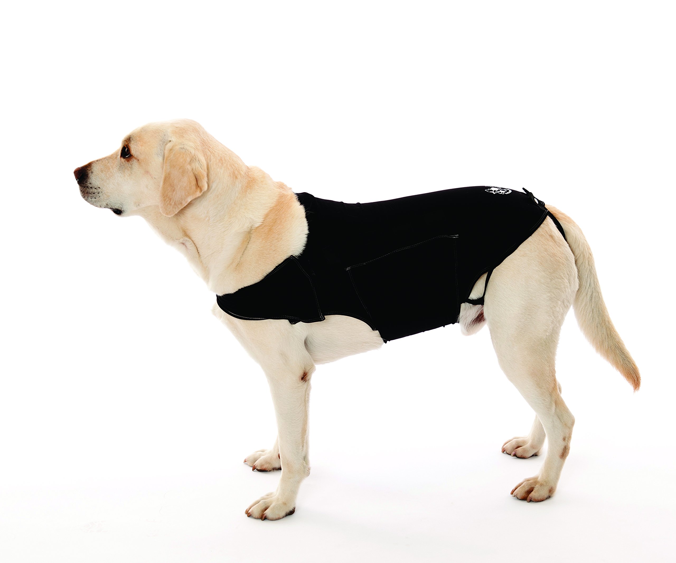 Company of Animals Anxiety Wrap, Black, Toy Sized