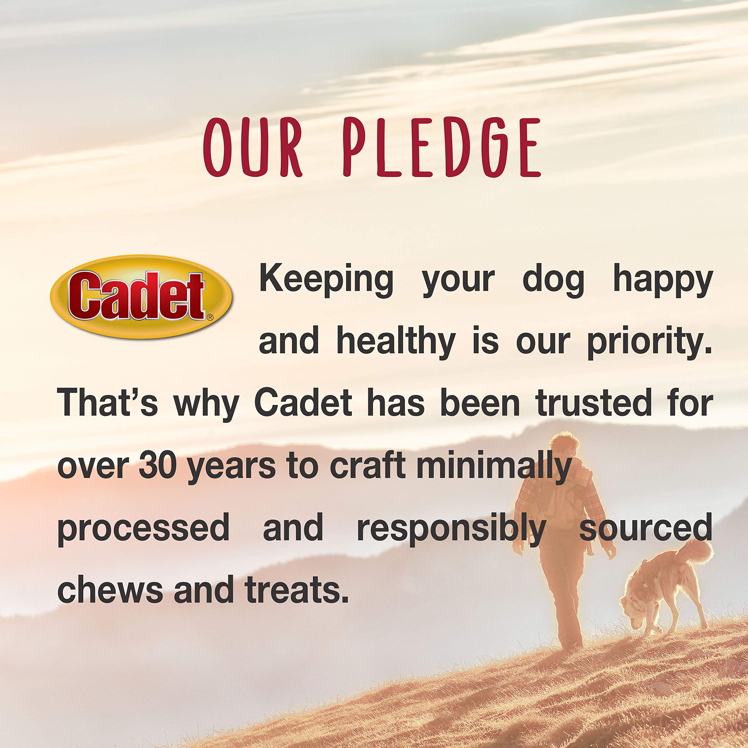 Cadet Premium Grade Beef Hide for Dogs, Long Lasting Rawhide Donut Bone, Single Ingredient Dog Chews, 8 Inch (1 Count)