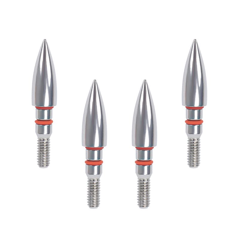 Alinbehbs Field Points Arrowheads 100 Grain Field Points, Stainless Steel Archery Field Points, Screw in Archery Field Points Tips (1 Dozen 12PCS)