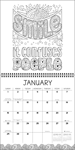 Calm the F*ck Down 2023 Coloring Wall Calendar: Irreverent Adult Coloring