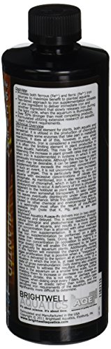Brightwell Aquatics Florin Fe - Bioavailable Ferrous & Ferric Iron Source for Planted Aquariums,500-ml