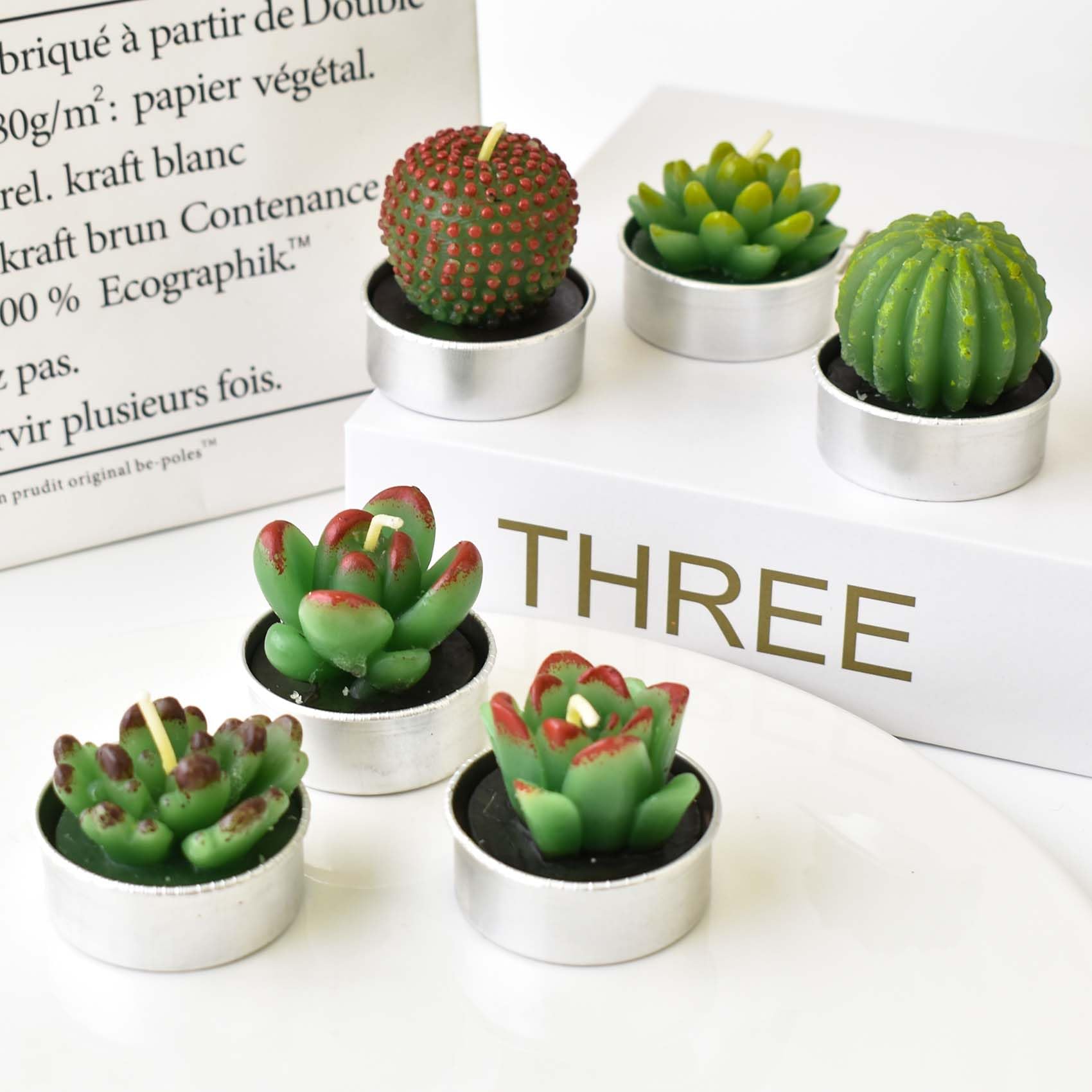 Cactus Candle, 6 PCS Cactus Tealight Candles, Handmade Delicate Succulent Candles, 6 Designs Cute Smokeless Succulent Plants Candle for Birthday Wedding Home Party (Style1)