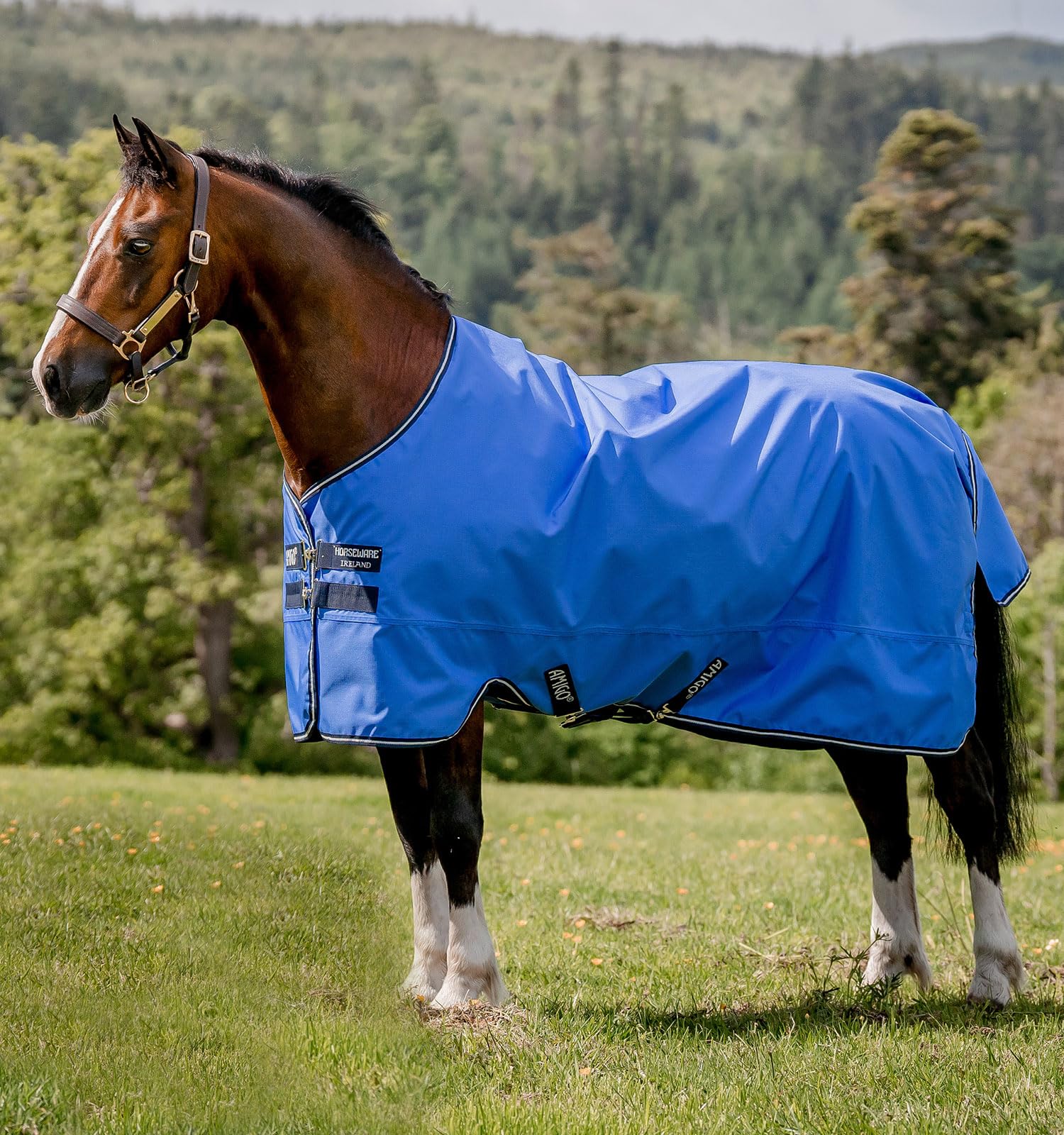 Horseware® Amigo® Hero Ripstop Turnout Horse Blanket (0g Light)
