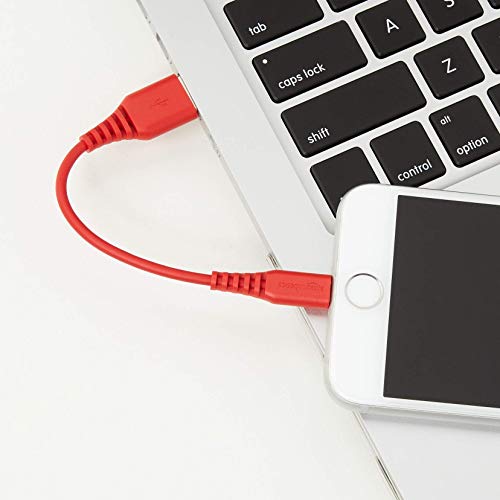 Amazon Basics MFi-Certified Lightning to USB A Cable for Apple iPhone and iPad - 4 Inches (10 Centimeters) - Red