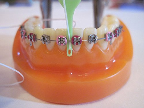 FlossFish - Reusable Orthodontic flossers 5 Mixed Colors