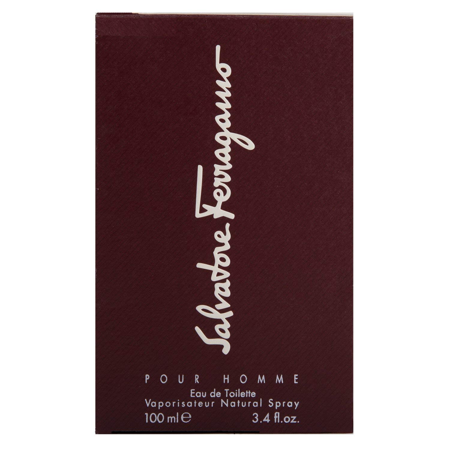 Salvatore Ferragamo/S. Ferragamo Edt Spray 3.4 Oz (M)