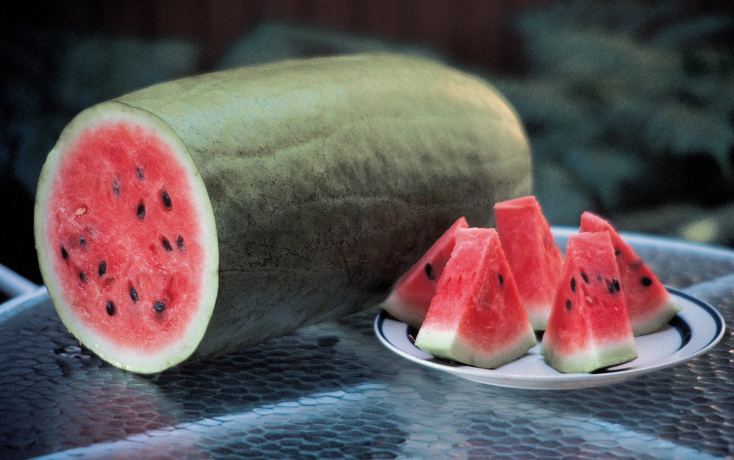 Burpee Charleston Gray (Heirloom) Watermelon Seeds 50 seeds