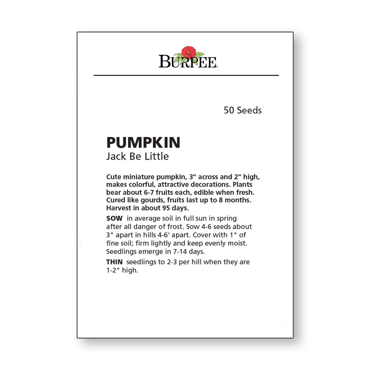 Burpee Jack Be Little Pumpkin Seeds 50 seeds