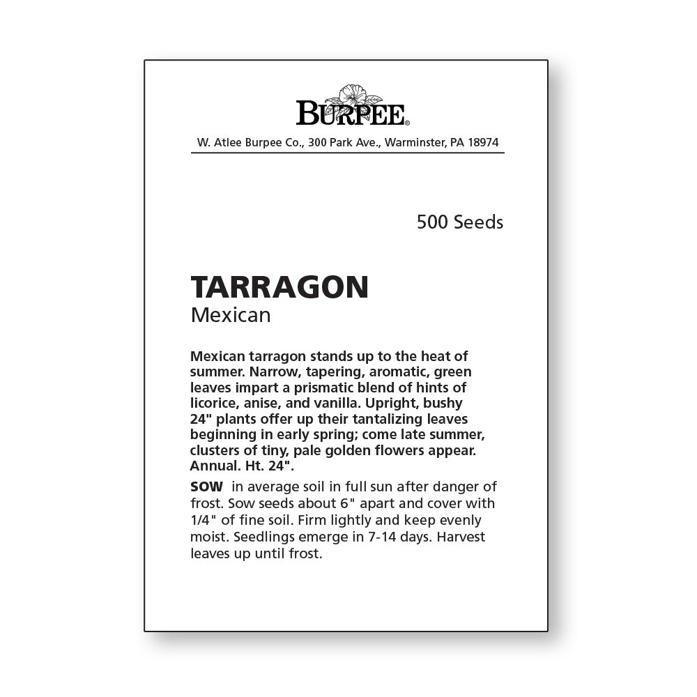 Burpee Mexican Tarragon Seeds 500 seeds