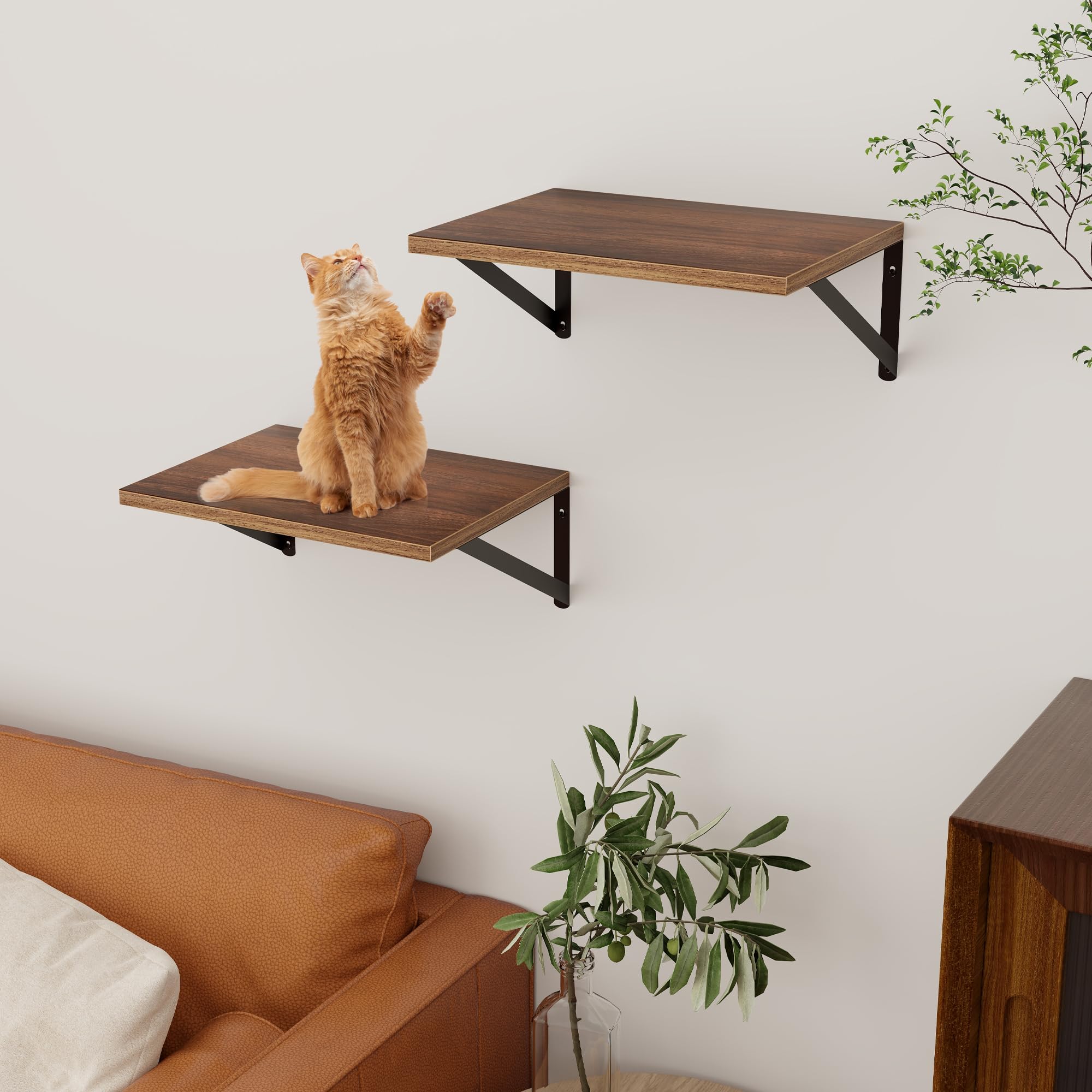 Axeman Walnut Floating Shelves 12 Inch Deep, Rustic Wall Mounted Floating Shelves Set of 2, 16W x 12D Floating Wall Shelves for Decor & Storage, Walnut Shelves Living Room Bedroom Bathroom, Walnut
