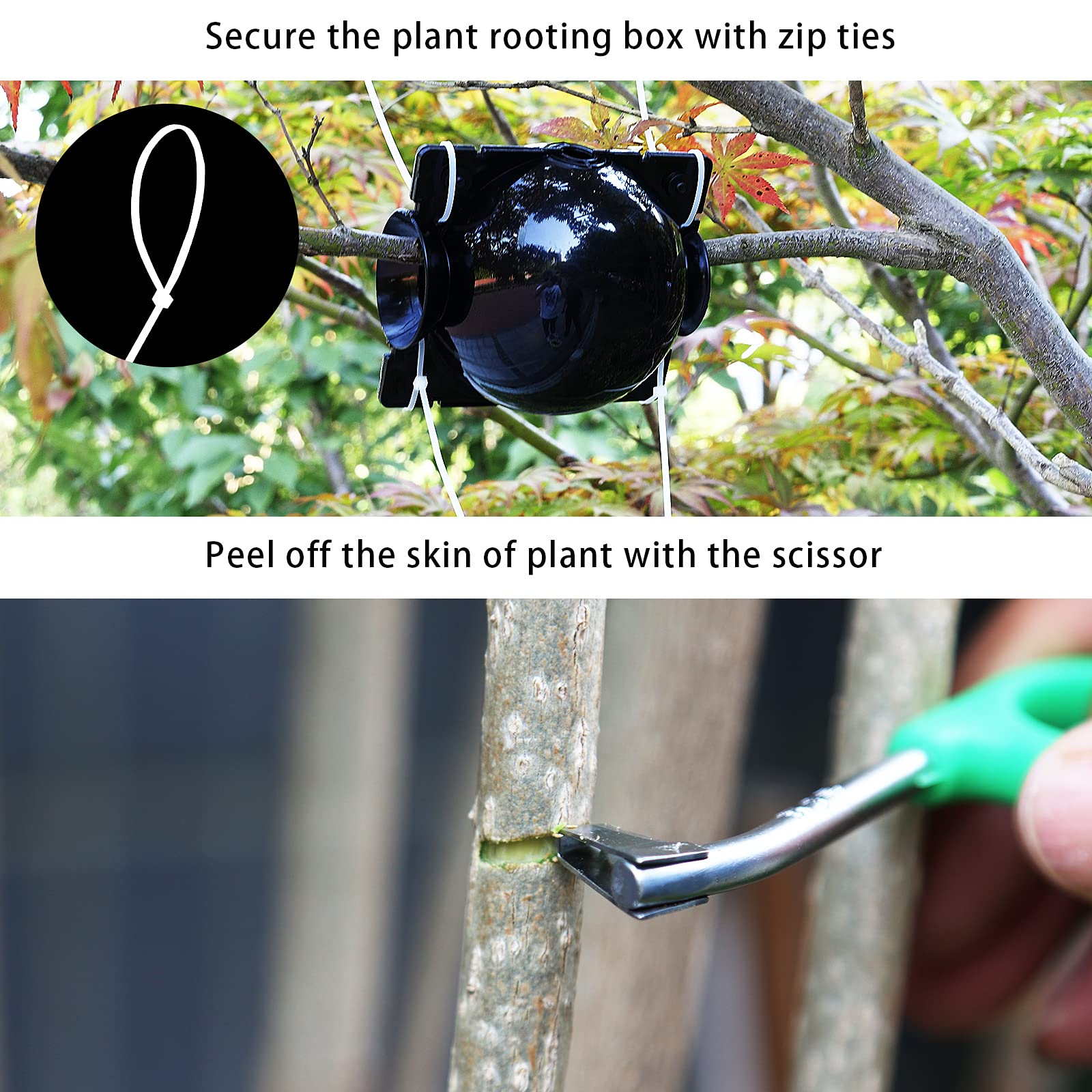 9pcs Plant Rooting Ball, Plant Root Device Growing Box, Assisted Cutting High-Pressure Propagation Ball, Reusable Grafting Controller Air-Layering for Plants Asexual Reproduction(3L+3M+3S, Black)